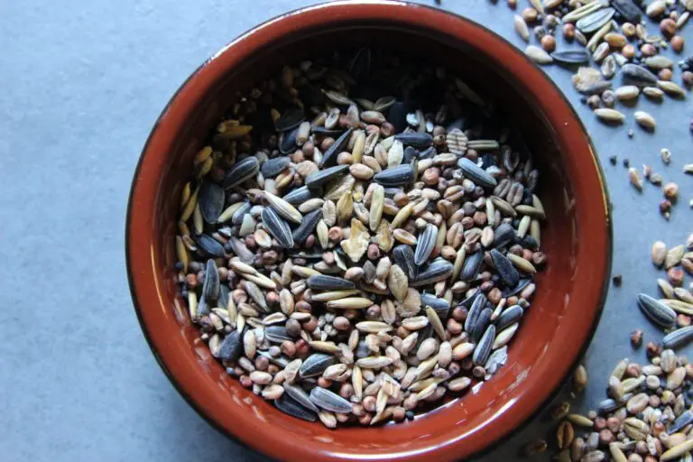 What kind of Birdseed Deters Rats and Mice? [2 Easy Strategies] - The ...
