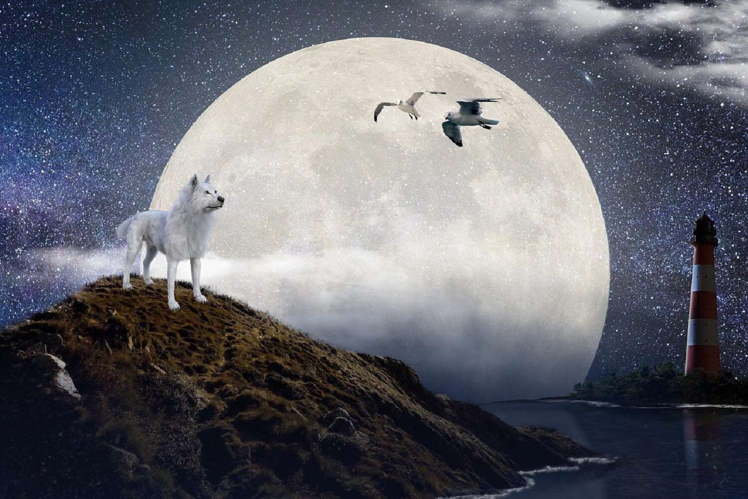 Seagull Symbolism and Mythology - Importance of Seagulls In World ...