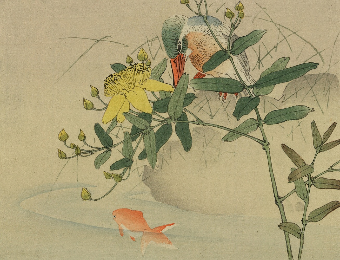 Famous Bird Haikus translated from Japanese - The Bird Geek