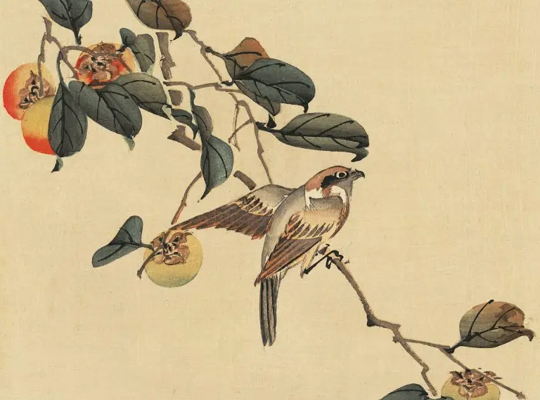Famous Bird Haikus translated from Japanese - The Bird Geek