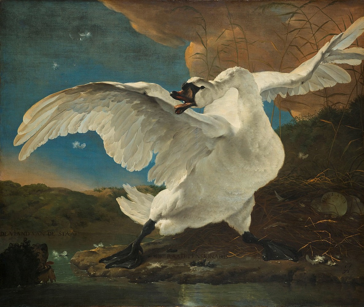 Famous Bird Paintings Worth Checking Out (Beautiful Avian Art) - The ...