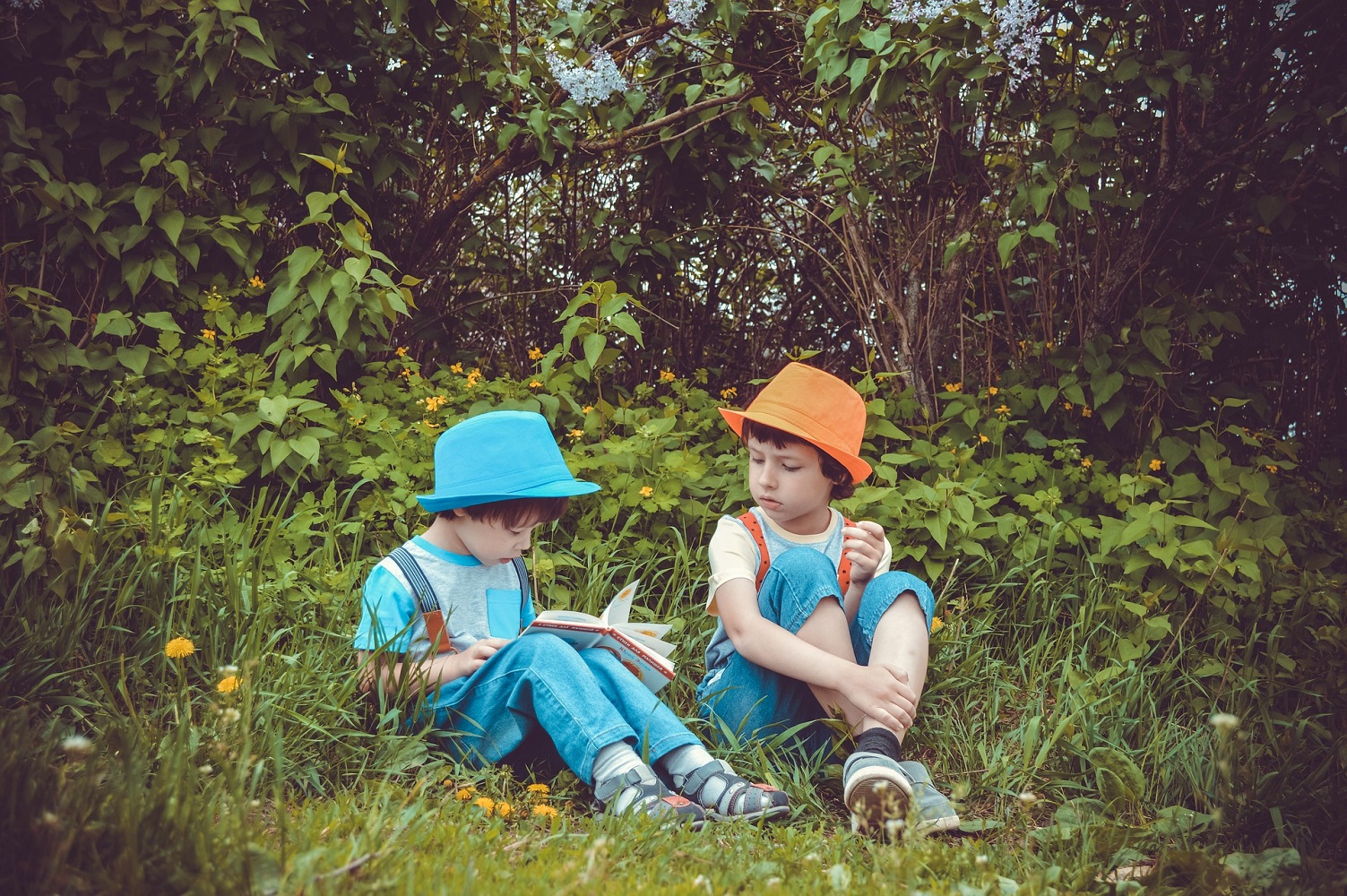 The Best Children's BirdWatching Books (Top 7 Picks for Kids!) - The ...
