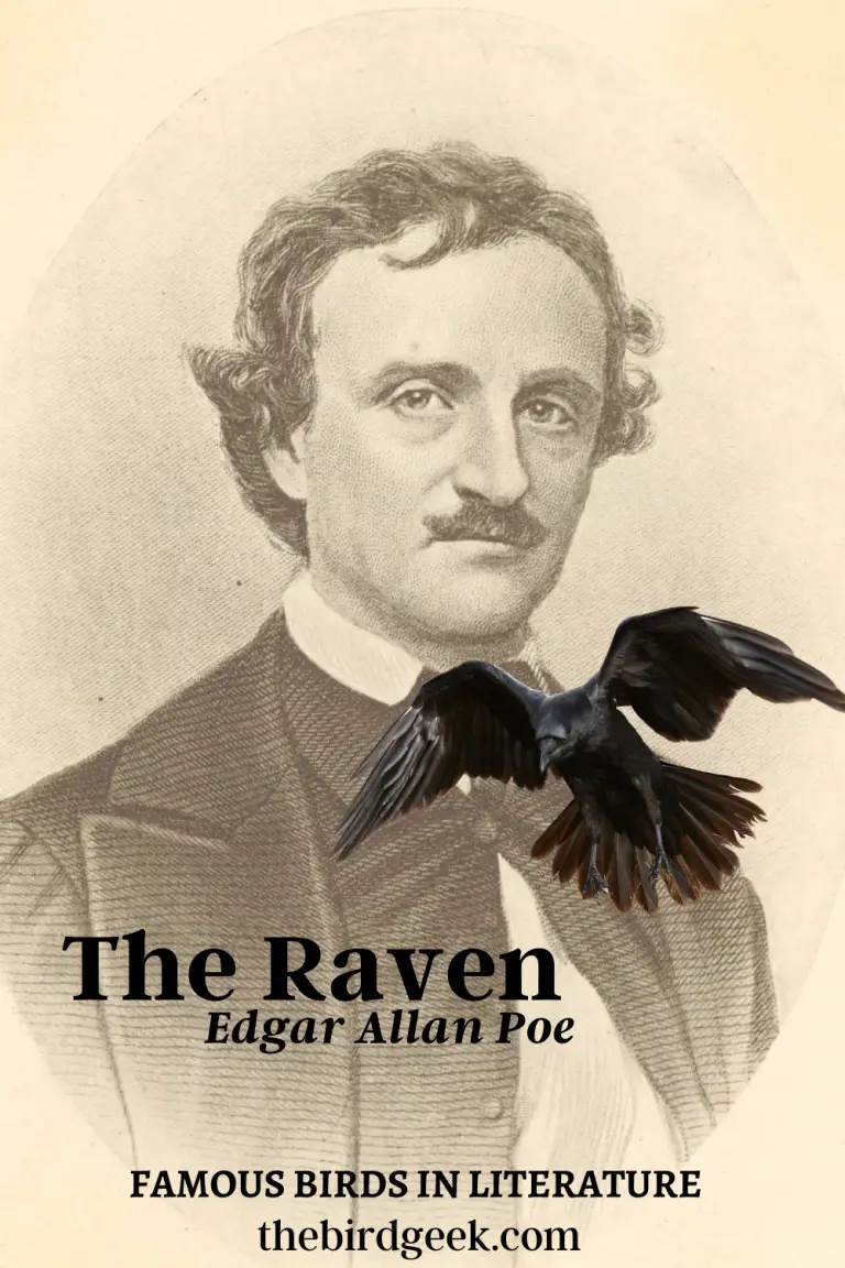 Most Famous Birds in Literature - The Bird Geek